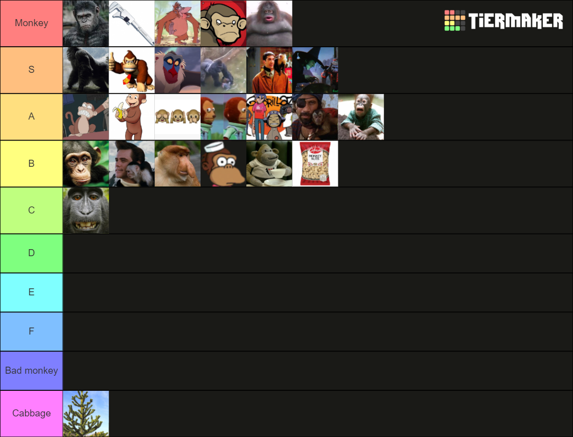 Top Monkeys of all Time Tier List (Community Rankings) - TierMaker