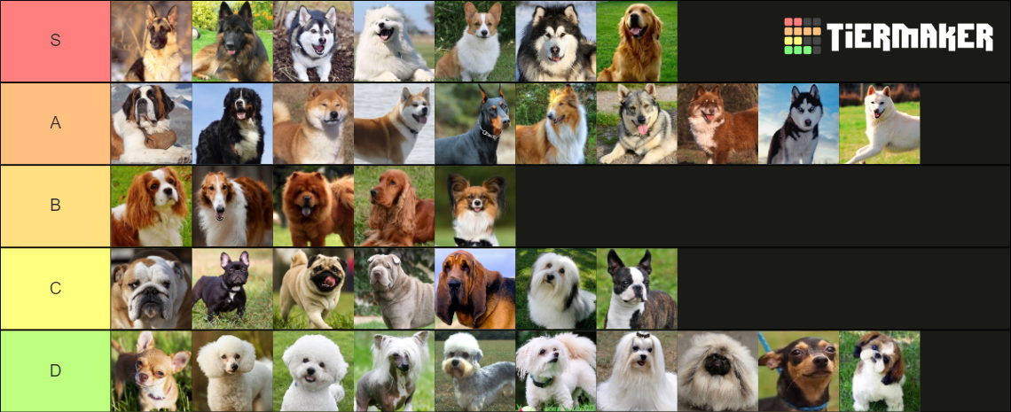 Dog Breeds Tier List (Community Rankings) - TierMaker