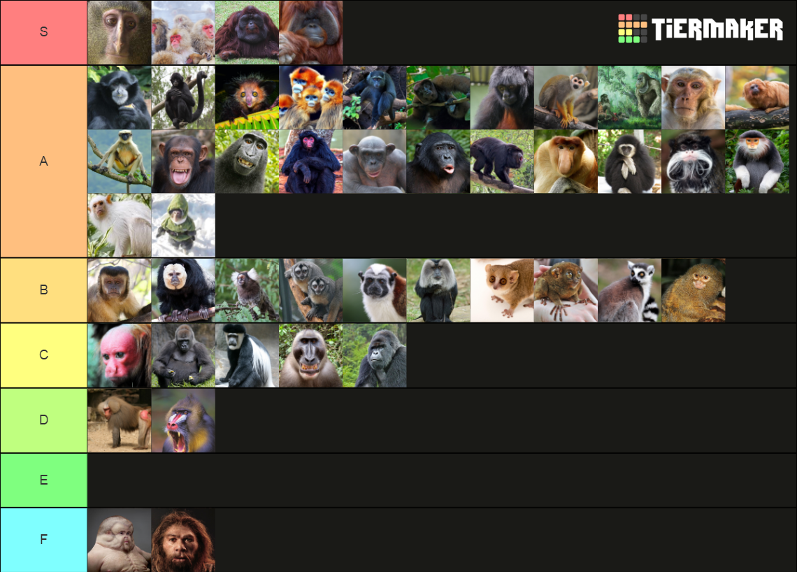 Best Monkey 2 Tier List (Community Rankings) - TierMaker