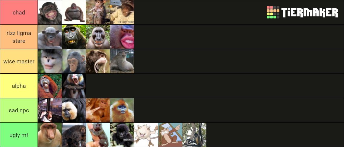 monkey Tier List (Community Rankings) - TierMaker