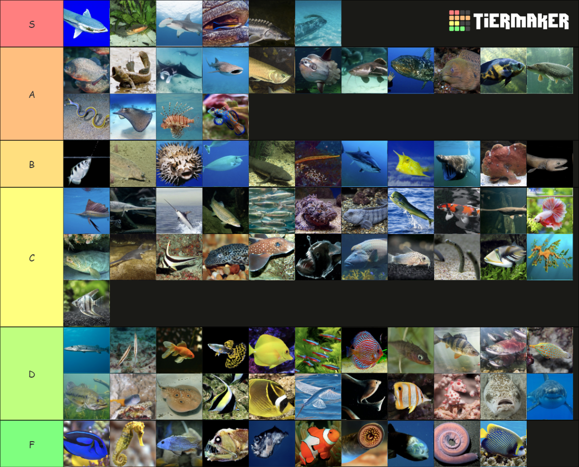 Fish Tier List (Community Rankings) - TierMaker