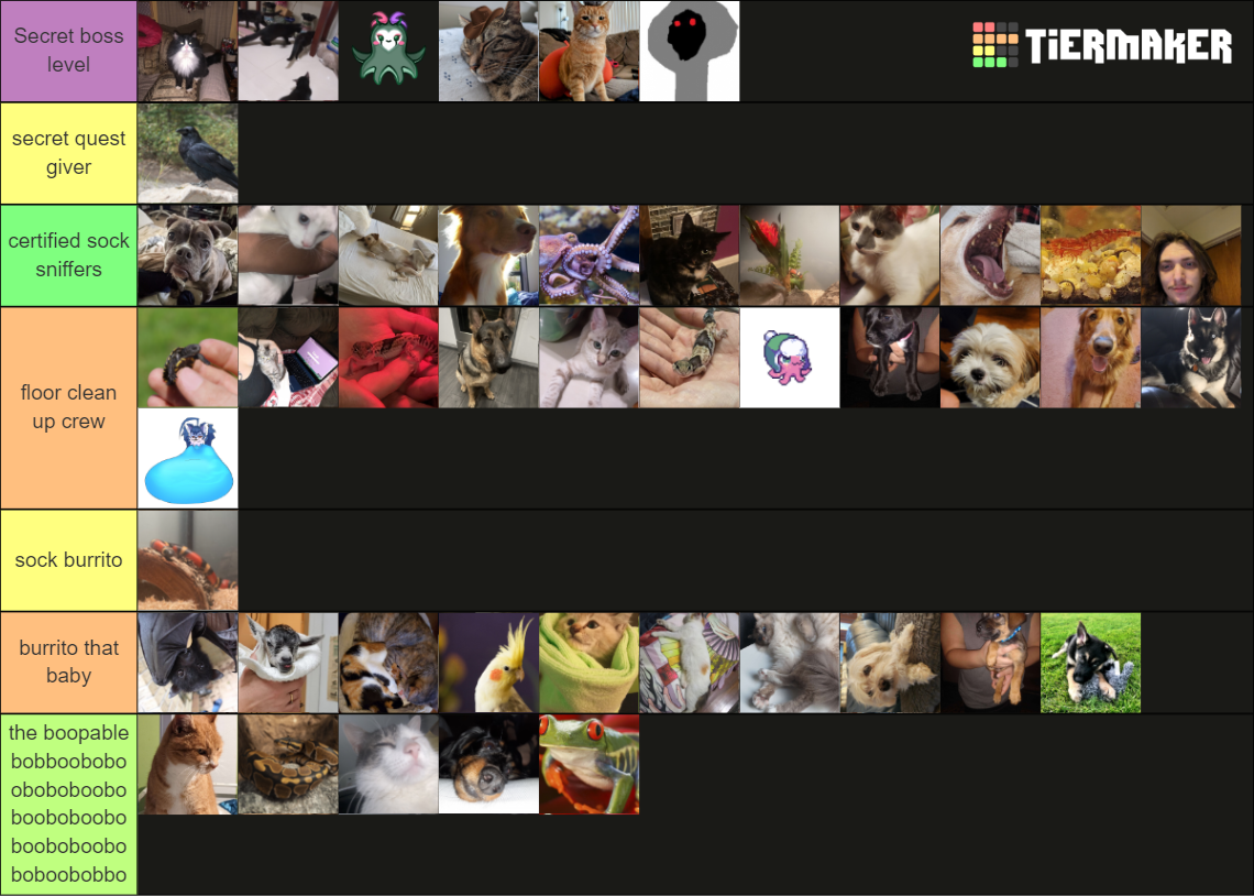 pet teir list number 2 Tier List (Community Rankings) - TierMaker