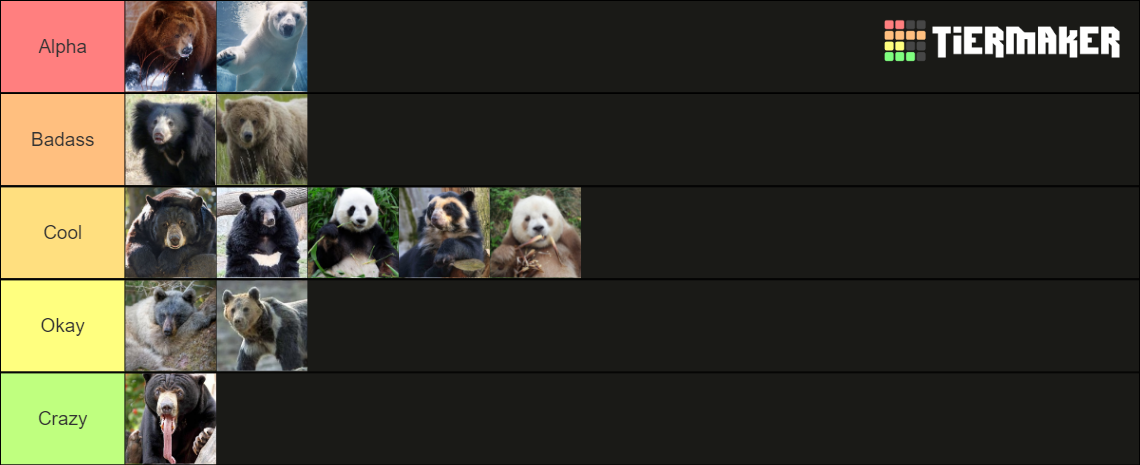 Bear Species Tier List (Community Rankings) - TierMaker
