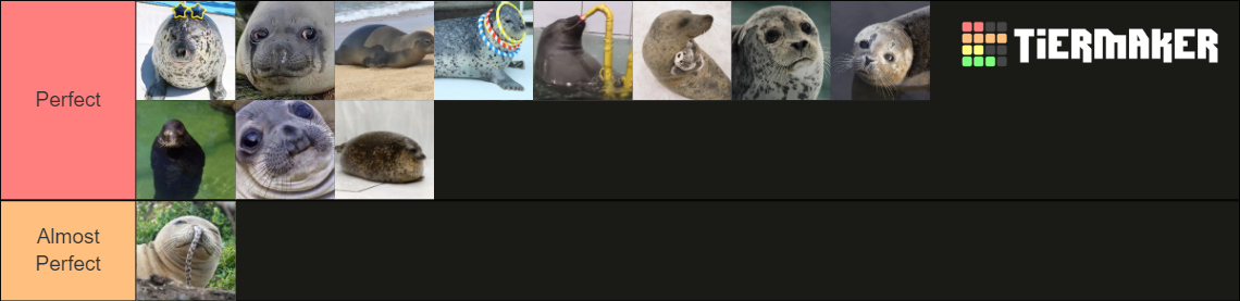 seal Tier List (Community Rankings) - TierMaker