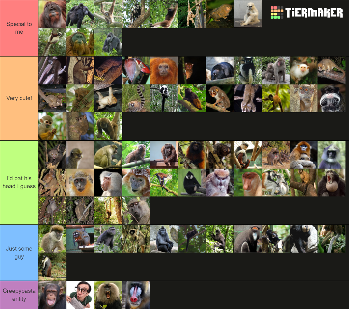 The Ultimate Primate 2.0 Tier List (Community Rankings) - TierMaker
