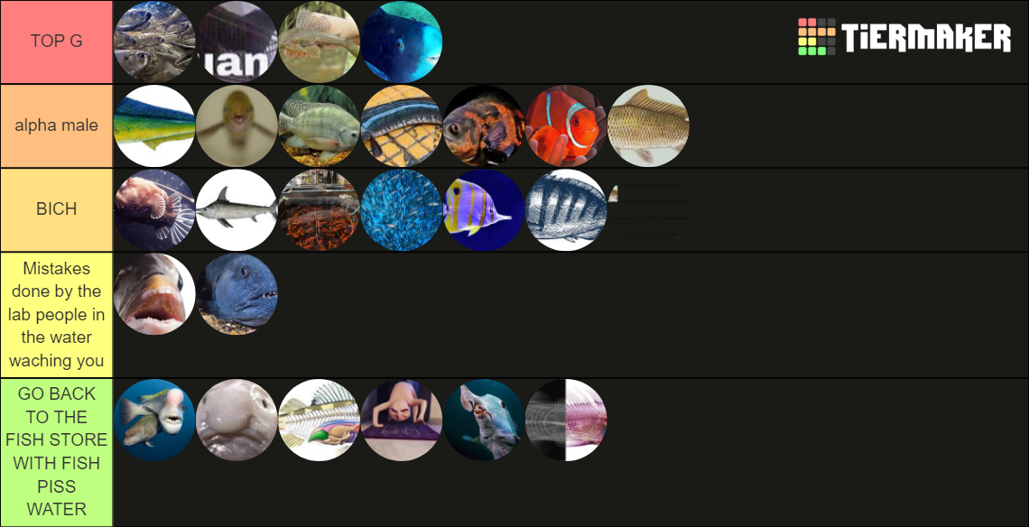 THIS IS A FISH TIER LIST Tier List (Community Rankings) - TierMaker