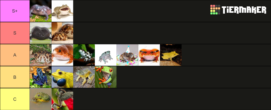 Frog but more Tier List (Community Rankings) - TierMaker