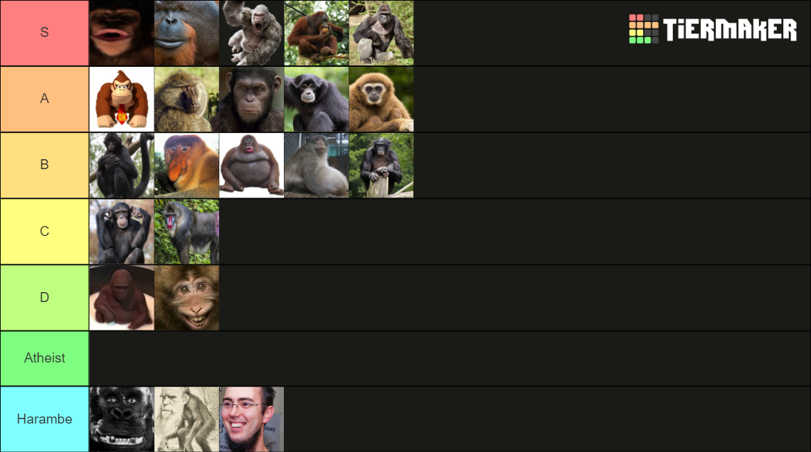 Ape/Monkey Tier List (Community Rankings) - TierMaker
