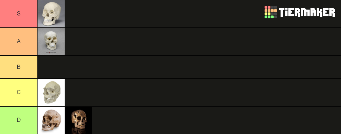 Skull Shapes Tier List (Community Rankings) - TierMaker