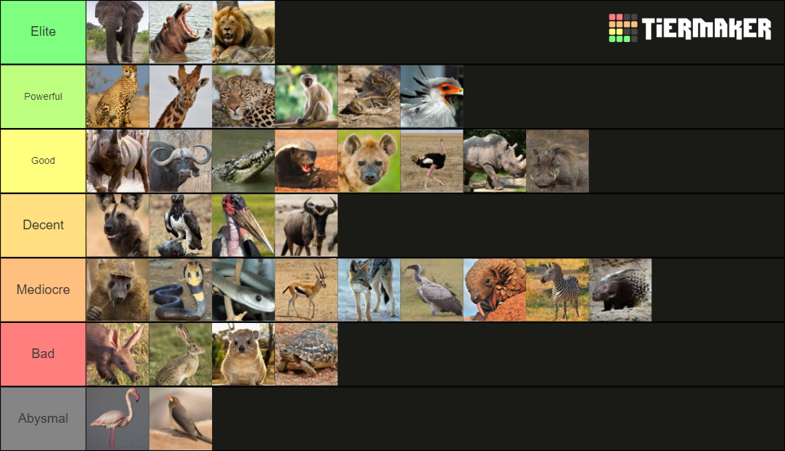African Savannah Animals Tier List (Community Rankings) - TierMaker