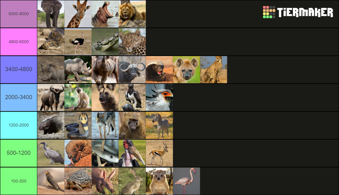 African Savannah Animals Tier List (Community Rankings) - TierMaker