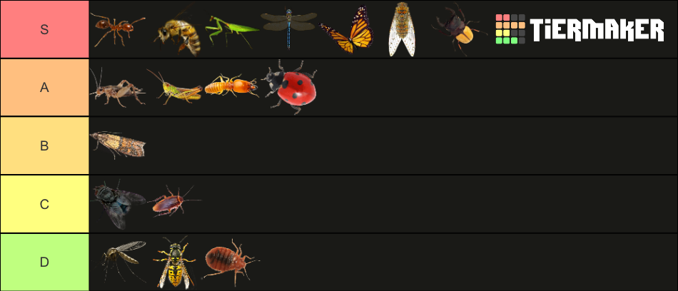 Insects Tier List (Community Rankings) - TierMaker