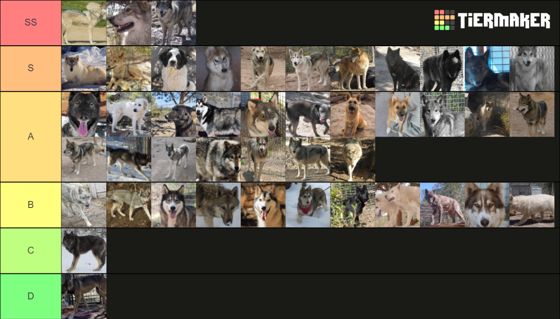Animal of Wolfwood Refuge Tier List (Community Rankings) - TierMaker