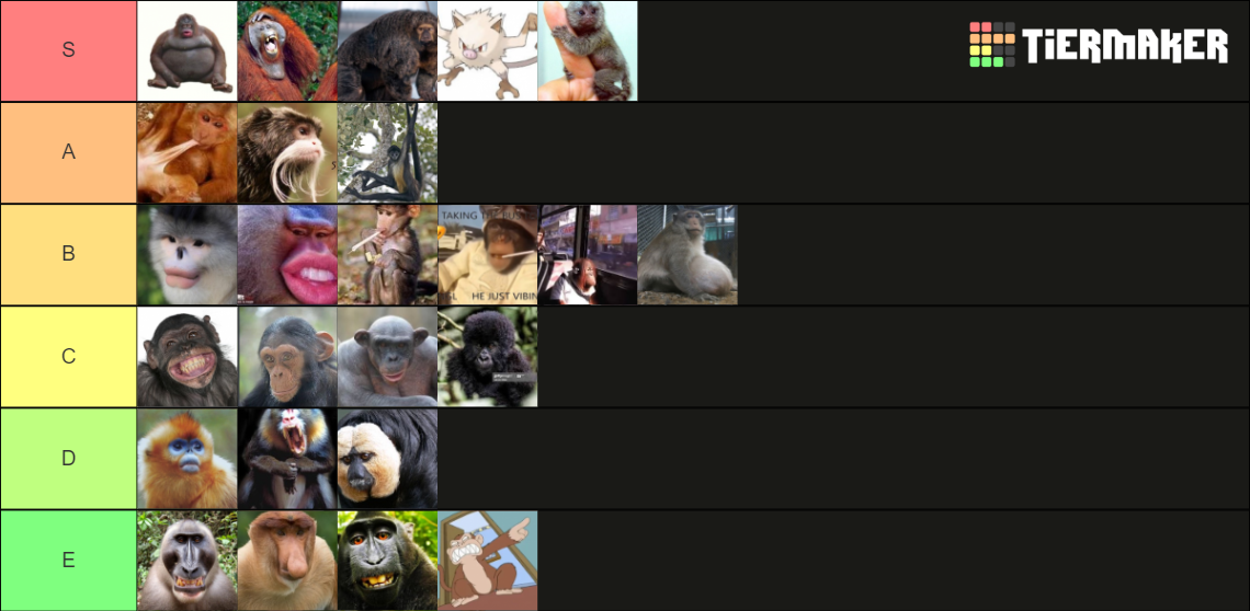 monkey Tier List (Community Rankings) - TierMaker