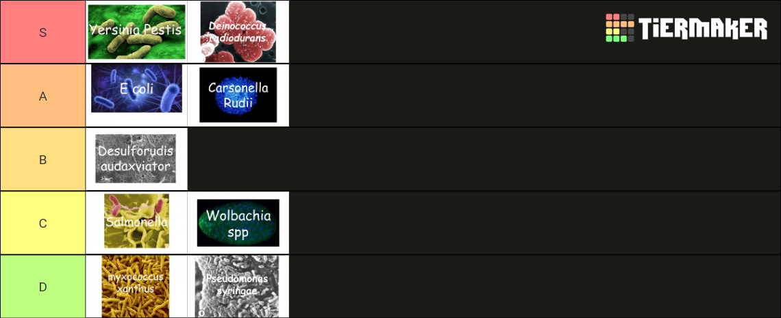 Best Bacteria Tier List (Community Rankings) - TierMaker