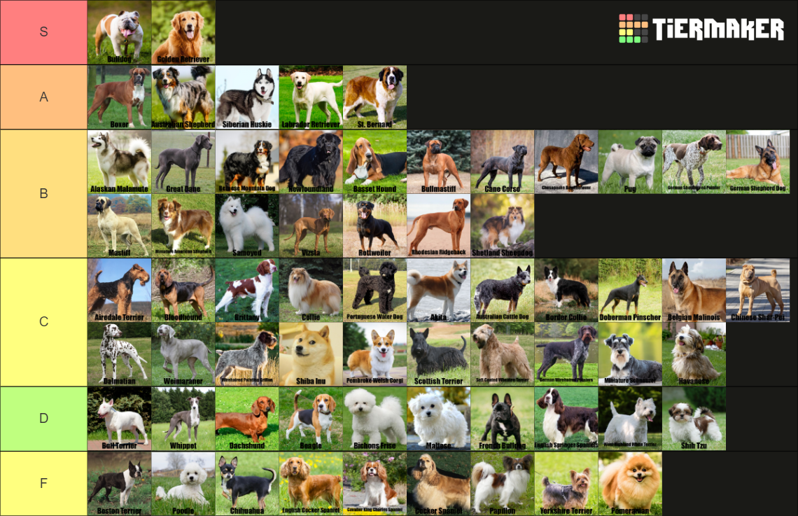 Dog Breeds Tier List (Community Rankings) - TierMaker