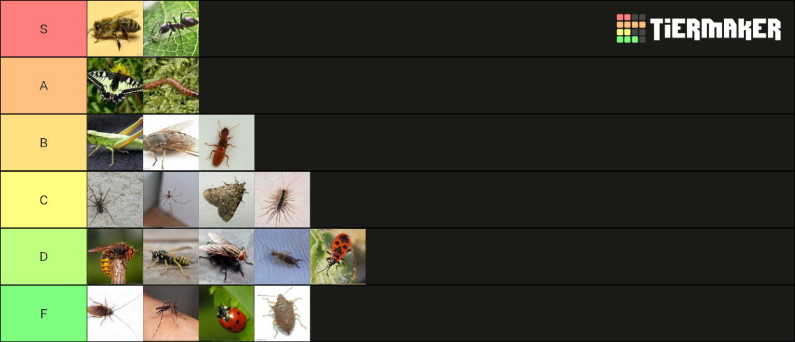 insectes du quotidien les plus degeu Tier List (Community Rankings ...