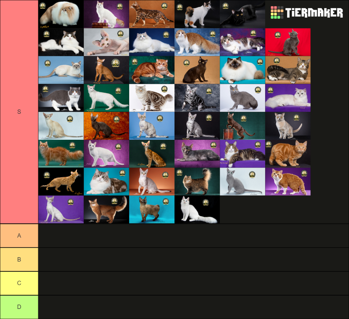 Cat Breed Tier List Community Rankings TierMaker Cat Breed Tier List Community Rankings TierMaker