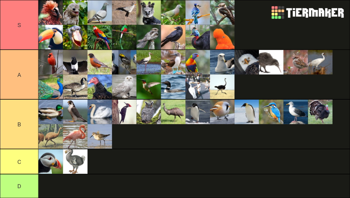 Bird Species Tier List (Community Rankings) - TierMaker