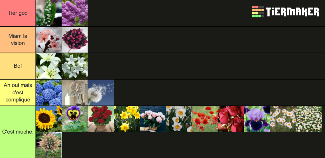 Flowers Tier List (Community Rankings) - TierMaker