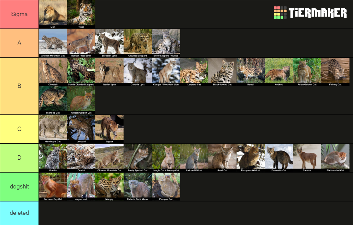 Felidae Tier List (Community Rankings) - TierMaker