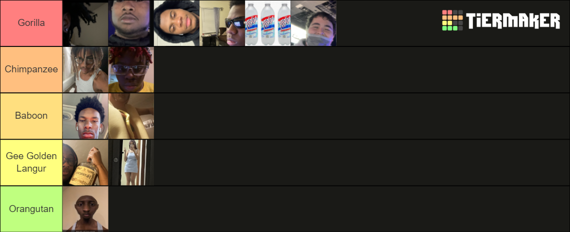 Monkey Tier List (Community Rankings) - TierMaker