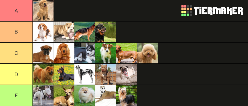 Dog Breeds Tier List (Community Rankings) - TierMaker