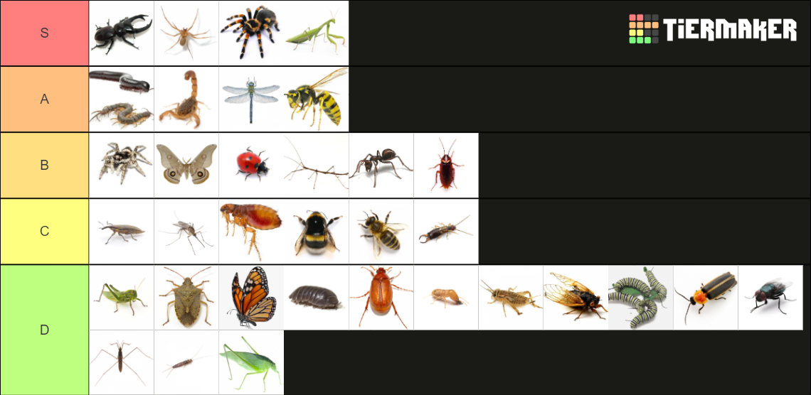 Official Bug Tier List (Community Rankings) - TierMaker