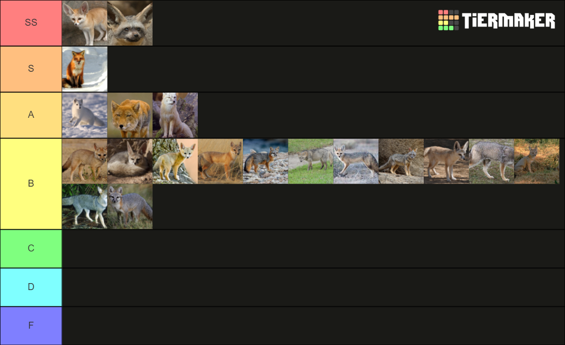Fox Species Tier List (Community Rankings) - TierMaker