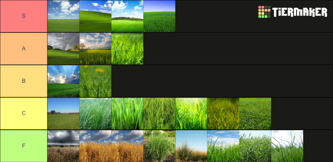Grass Tier List (Community Rankings) - TierMaker