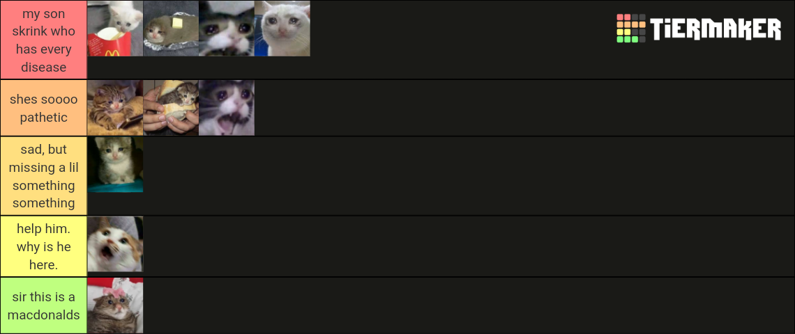 Sad Cats Tier List (Community Rankings) - TierMaker