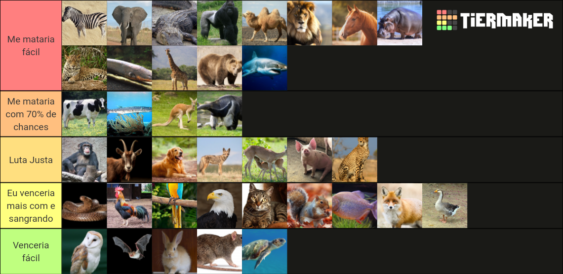 Você X Animal Tier List (Community Rankings) - TierMaker