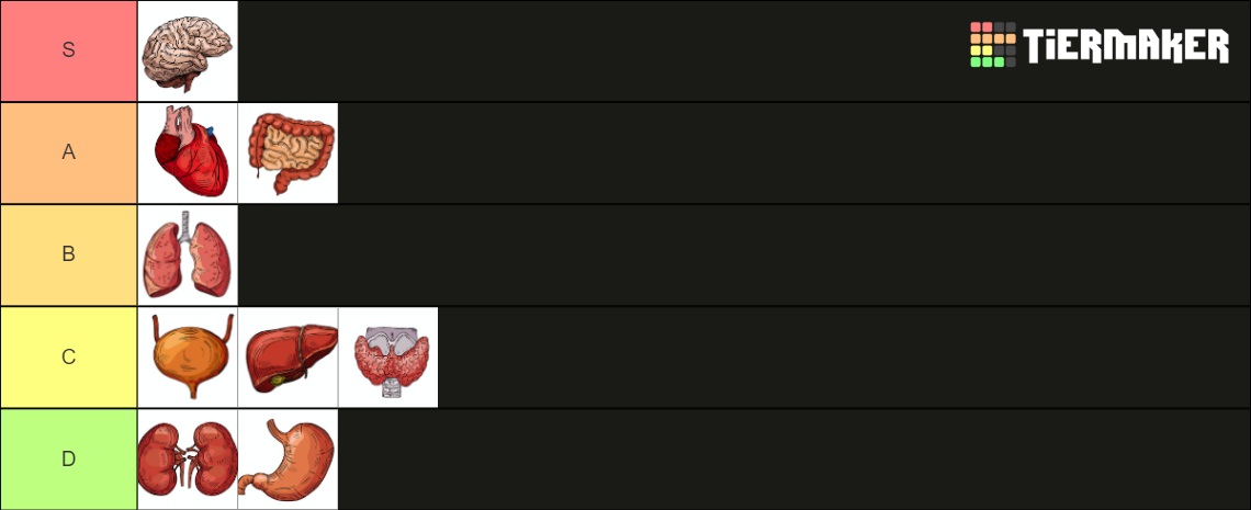 Human Organs Tier List (Community Rankings) - TierMaker