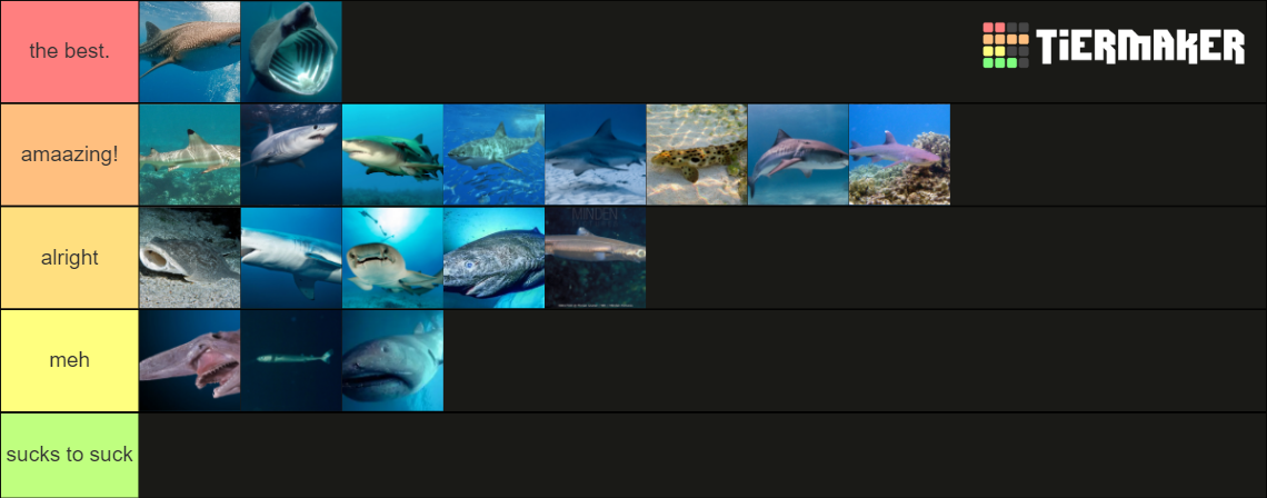 best shark types Tier List (Community Rankings) - TierMaker