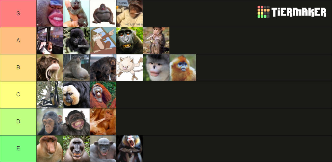 monkey Tier List (Community Rankings) - TierMaker