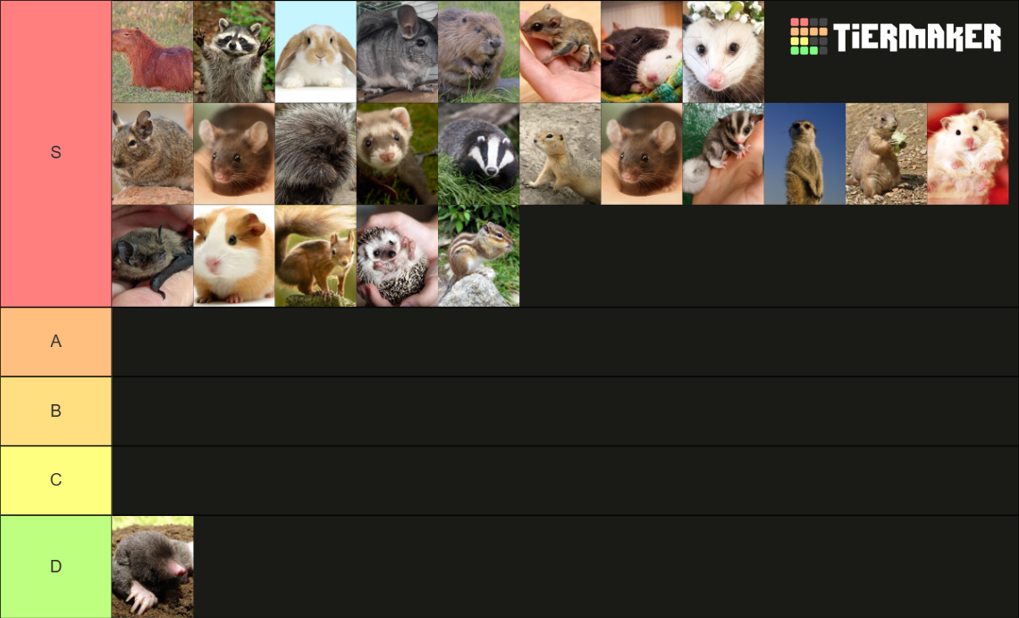 rate rodents Tier List (Community Rankings) - TierMaker