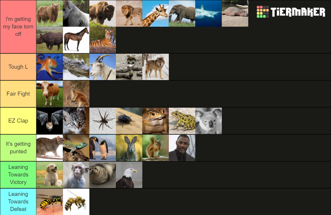 Animal Fight Tier List (Community Rankings) - TierMaker