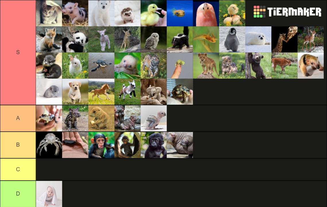 Cutest Baby Animals Tier List (Community Rankings) - TierMaker