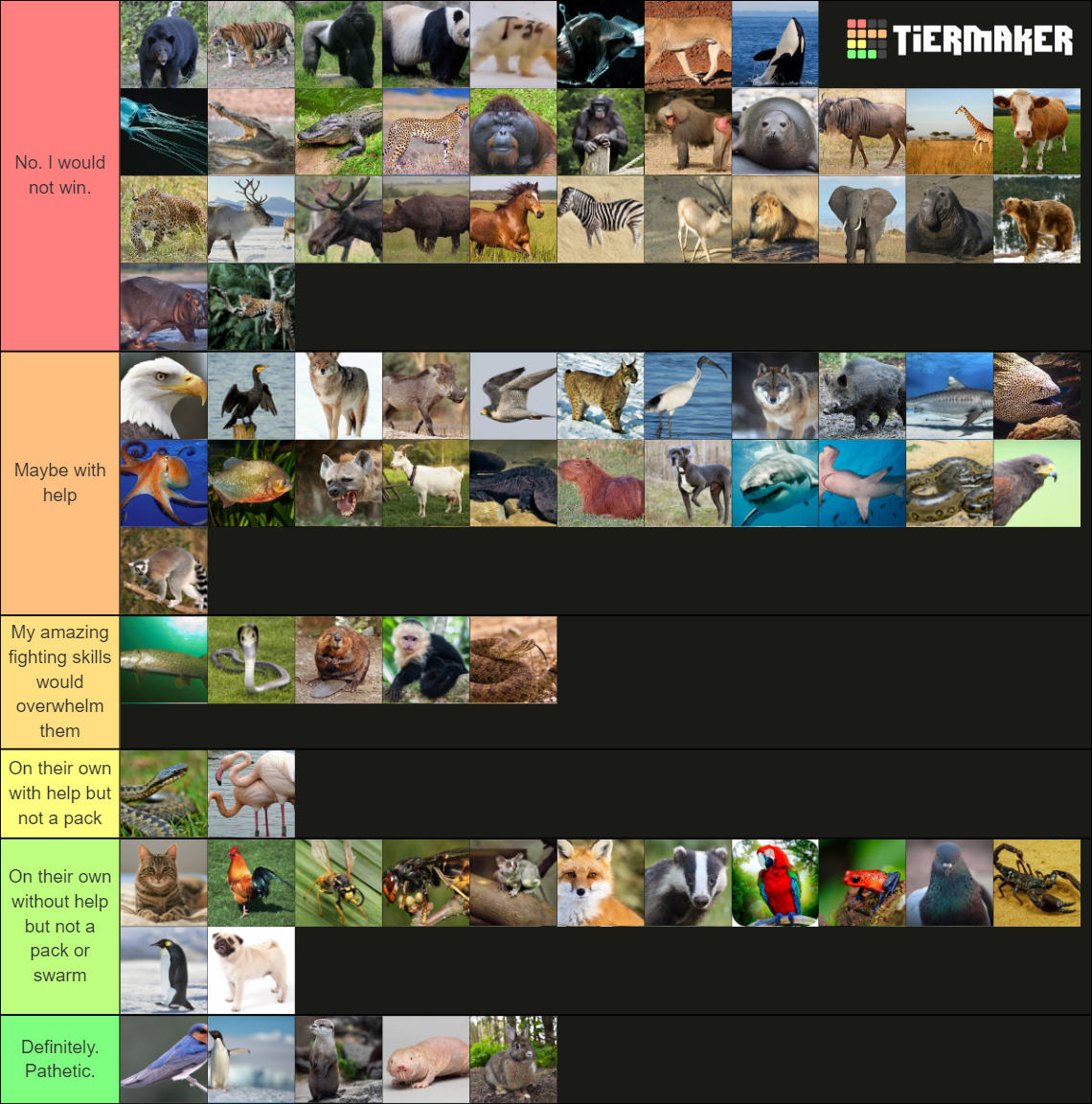 Could you beat this animal? Tier List (Community Rankings) - TierMaker