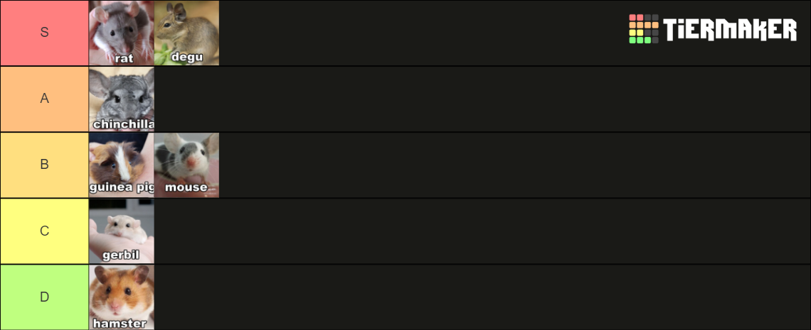 rodent tierlist Tier List (Community Rankings) - TierMaker