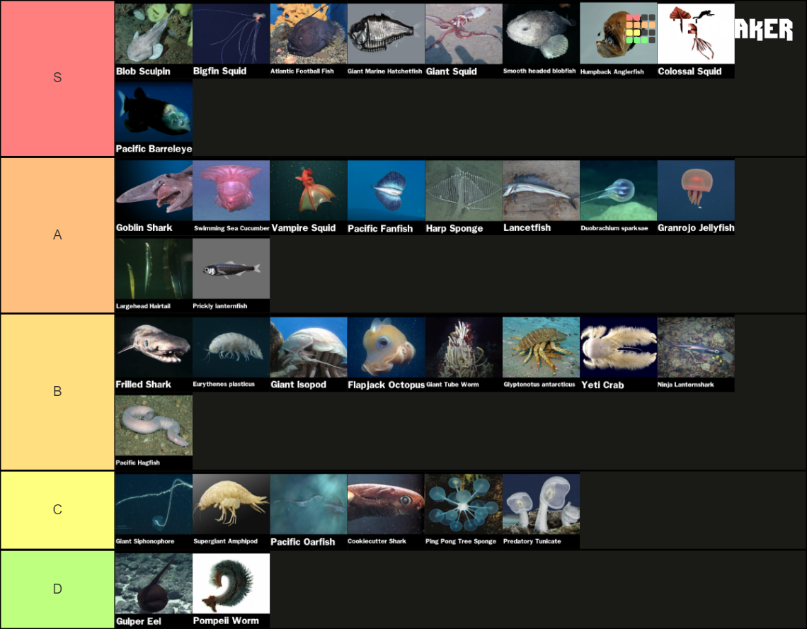 Deep Sea Creatures Tier List (Community Rankings) - TierMaker