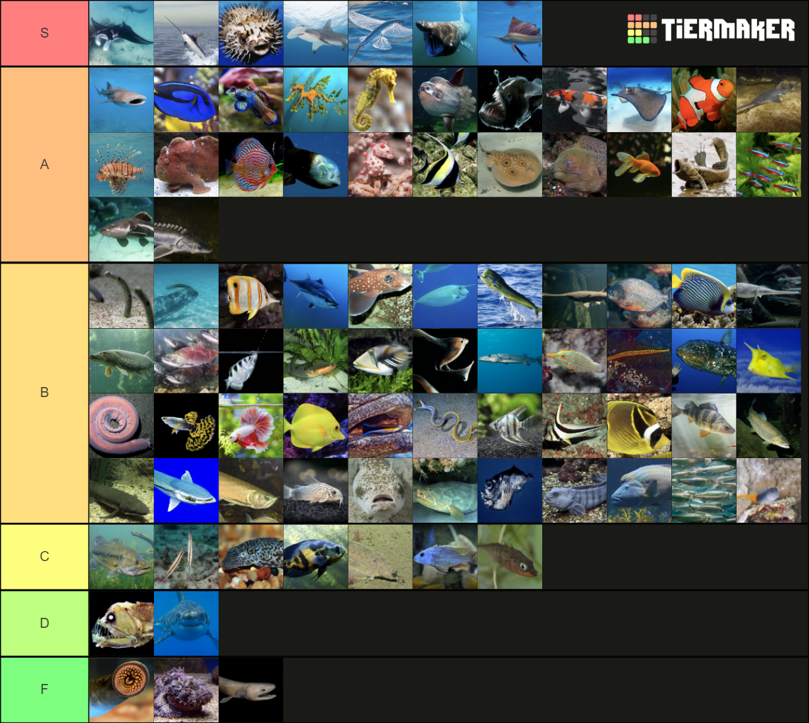 Fish Tier List (Community Rankings) - TierMaker