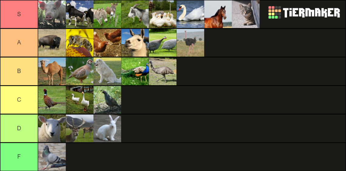 The Ultimate Farm Animal Tier List (Community Rankings) - TierMaker