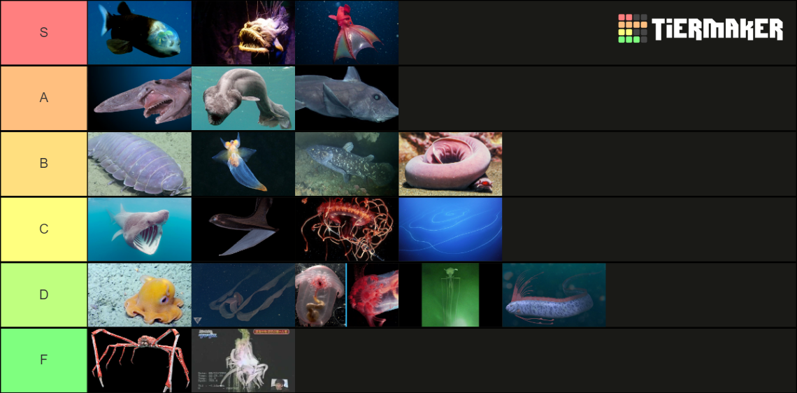 Ultimate Deep Sea Creature Tier List (Community Rankings) - TierMaker