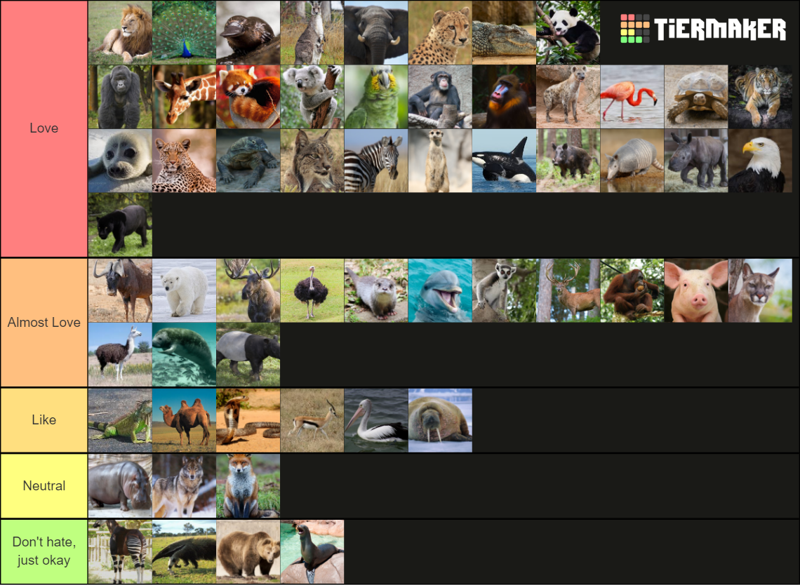 Zoo Animals Tier List (Community Rankings) - TierMaker