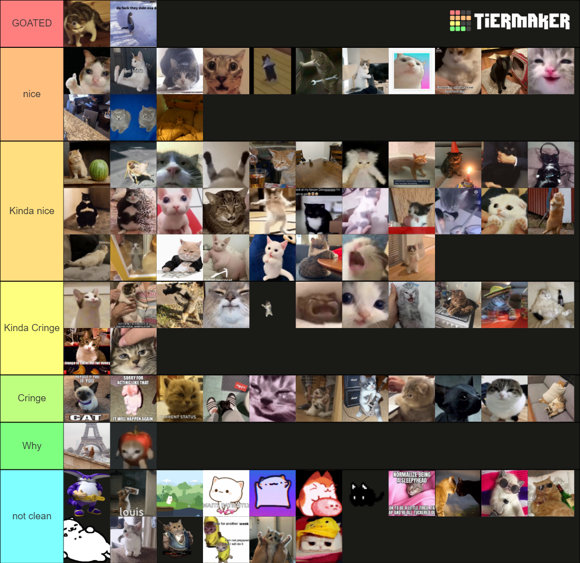 Timb's Cat Meme Maker Tier List (Community Rankings) - TierMaker