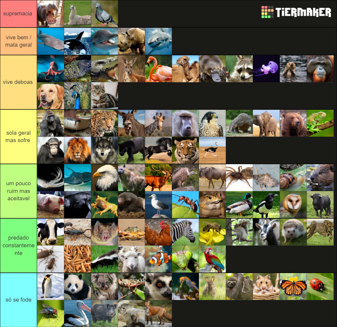 TIER LIST 100 ANIMALES SUPER DEFINITIVO Tier List (Community Rankings ...