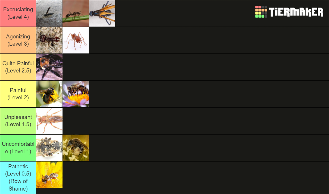 Abridged Schmidt Sting Index Tier List (Community Rankings) - TierMaker