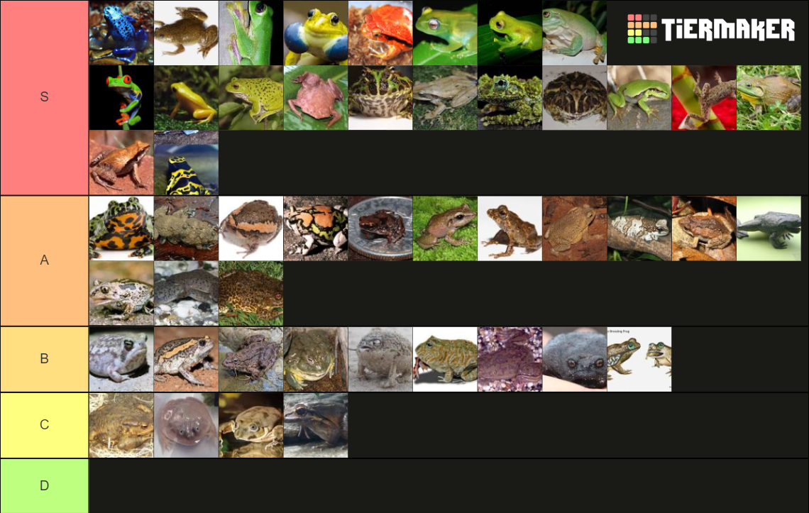 Frog Type Tier List (Community Rankings) - TierMaker