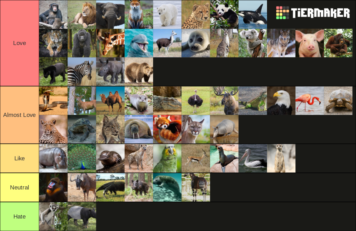 Zoo Animals Tier List (Community Rankings) - TierMaker
